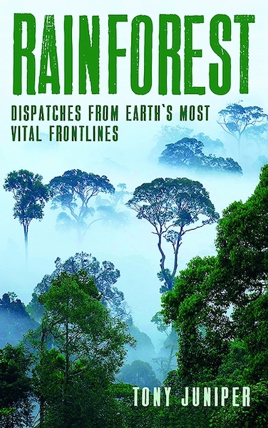 Rainforest – The Well-read Naturalist