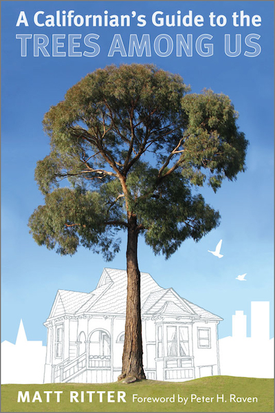 A Californian’s Guide to the Trees Among Us – The Well-read Naturalist