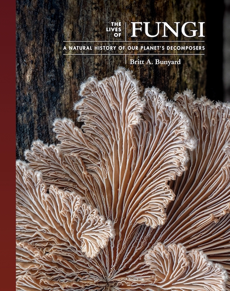 The Lives of Fungi – The Well-read Naturalist